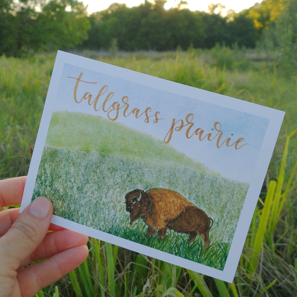 Tallgrass Prairie National Preserve Letter: Digital Download – Heritage ...